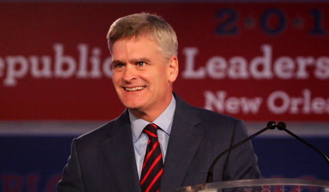 Republican Bill Cassidy Wins La. Senate Race with Less Than 25% of ...